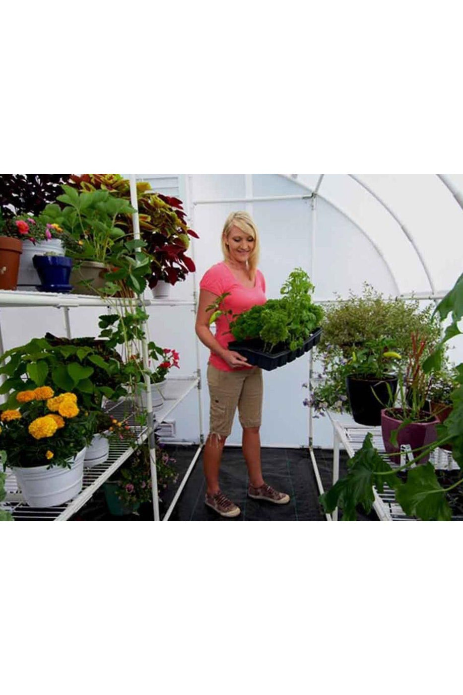 Solexx 8ft x 12ft Harvester Greenhouse G-412 — Renewable Outdoors