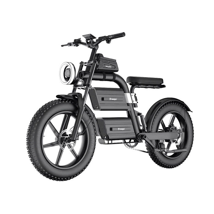 Freego E20 Dual Battery Electric Bike — Renewable Outdoors