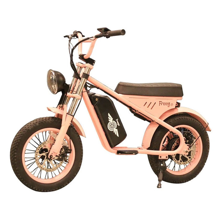 Freego Electric Bikes — Renewable Outdoors